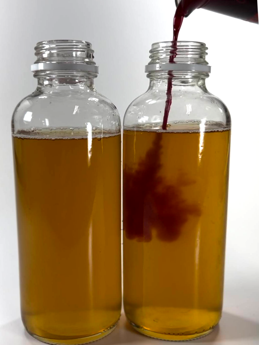 Blueberry Kombucha Recipe | Great Kombucha