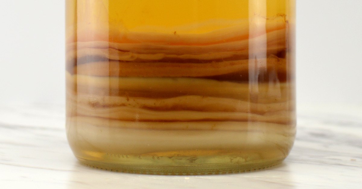 What Is A SCOBY Made Of? | Great Kombucha