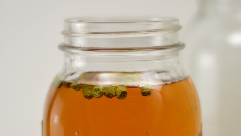 20 Best Kombucha Flavors | Great Kombucha