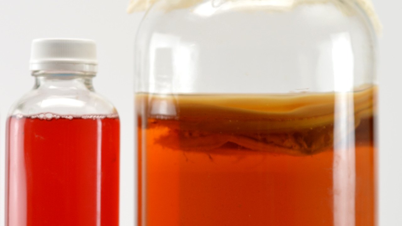 Fix Vinegary Kombucha | Great Kombucha