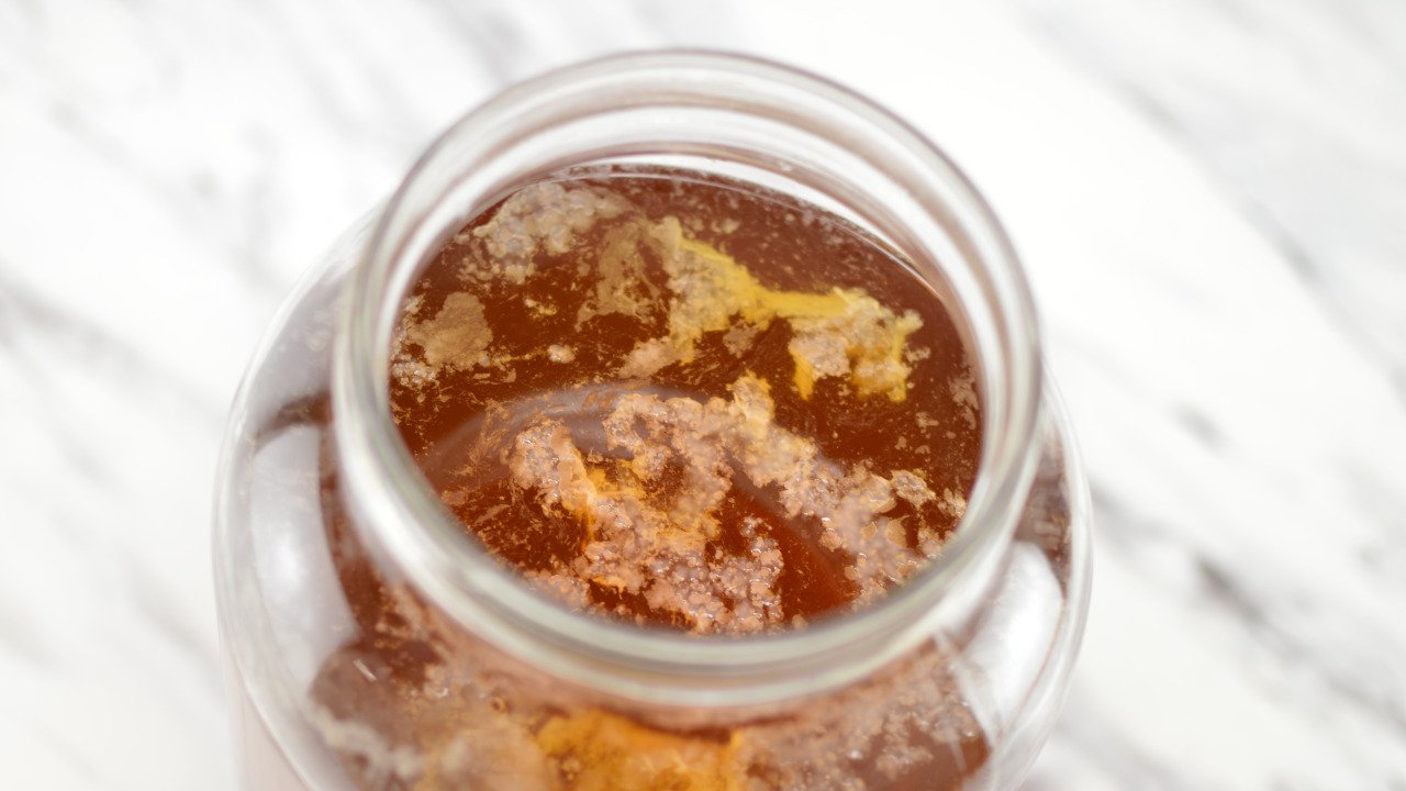 How To Grow A SCOBY | Great Kombucha