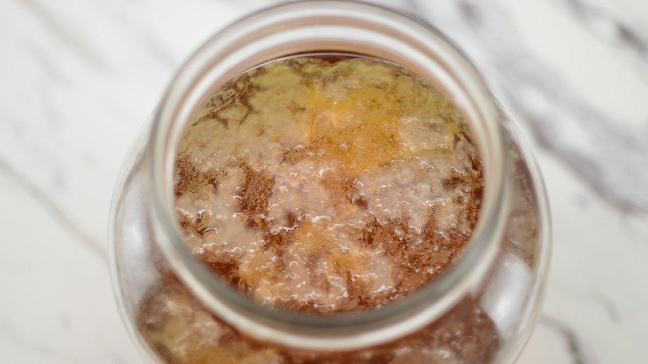 How To Grow A SCOBY | Great Kombucha