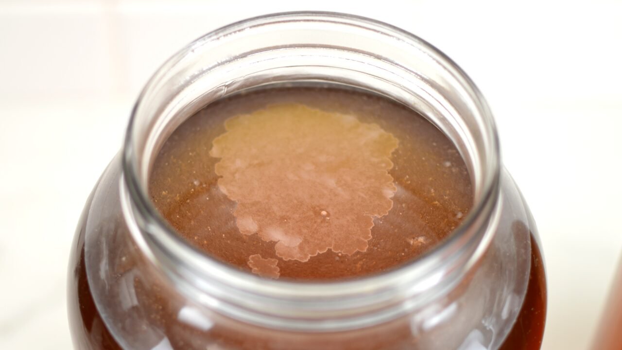 Make Kombucha Without A SCOBY | Great Kombucha